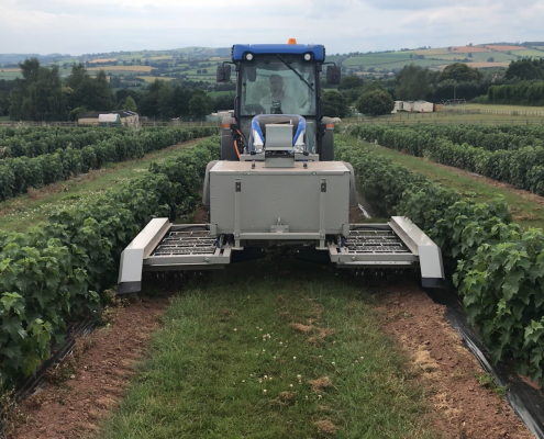 Technology | RootWave | Zaps Weeds | Zero Chemicals